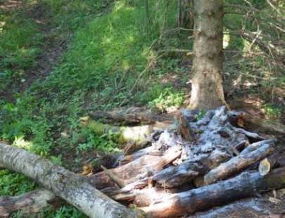 How to Make A Salt Lick for Deer - North American Bow Hunter