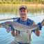 Mastering the Art of Archery: How to Shoot a Bow and Arrow with ...