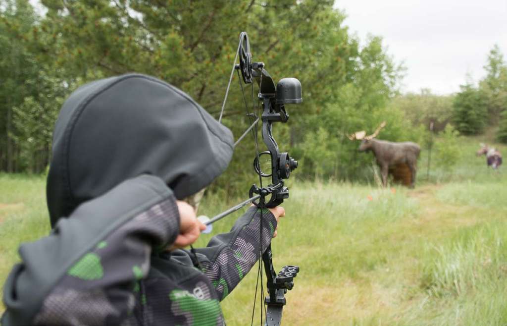 The Benefits Of 3D Archery - North American Bow Hunter