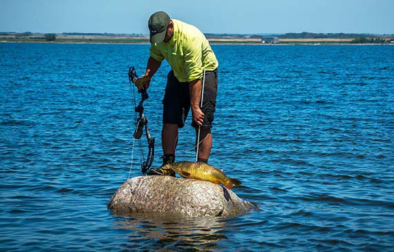Bowfishing 101 - North American Bow Hunter