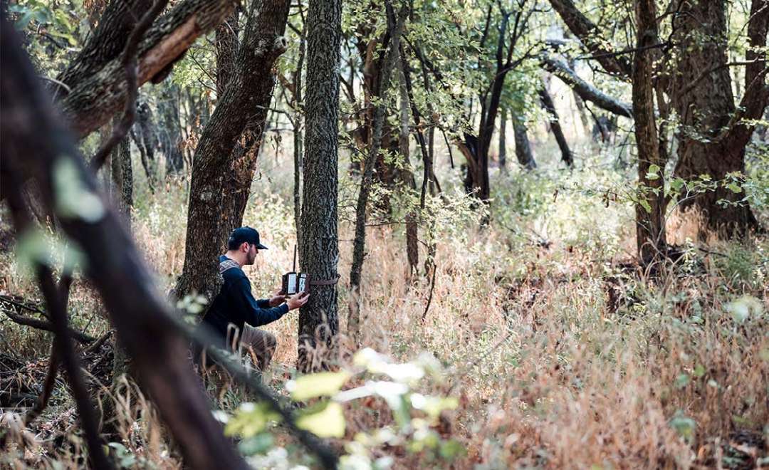 How to Make Mock Scrapes - North American Bow Hunter