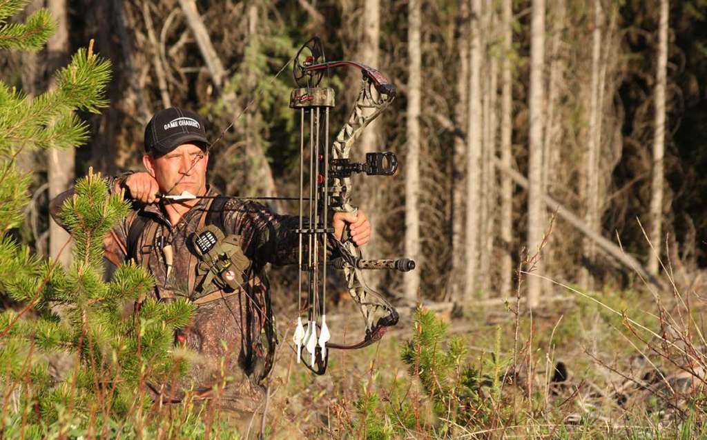 Calling Black Bears To Bow Range - North American Bow Hunter