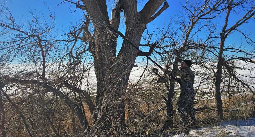 Bowhunting Mule Deer From Treestands - North American Bow Hunter