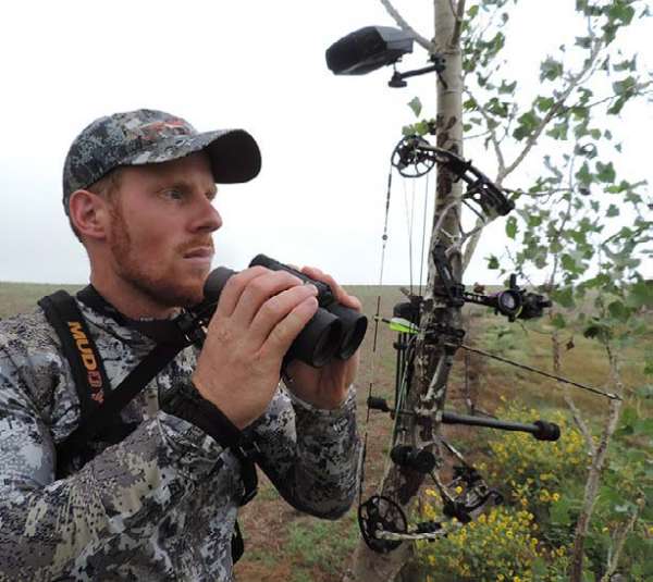 Bowhunting Mule Deer From Treestands - North American Bow Hunter