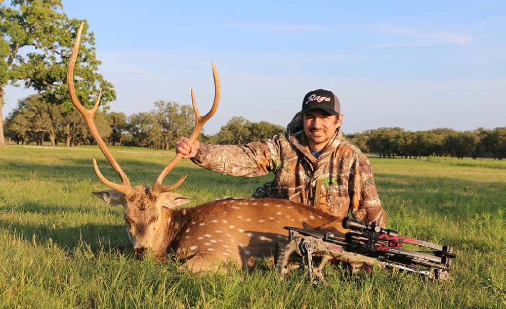 How Archery Has Evolved Through the Ages - North American Bow Hunter