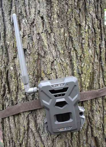 Finding The Best Cellular Trail Camera on the Market Today - Crossbow ...