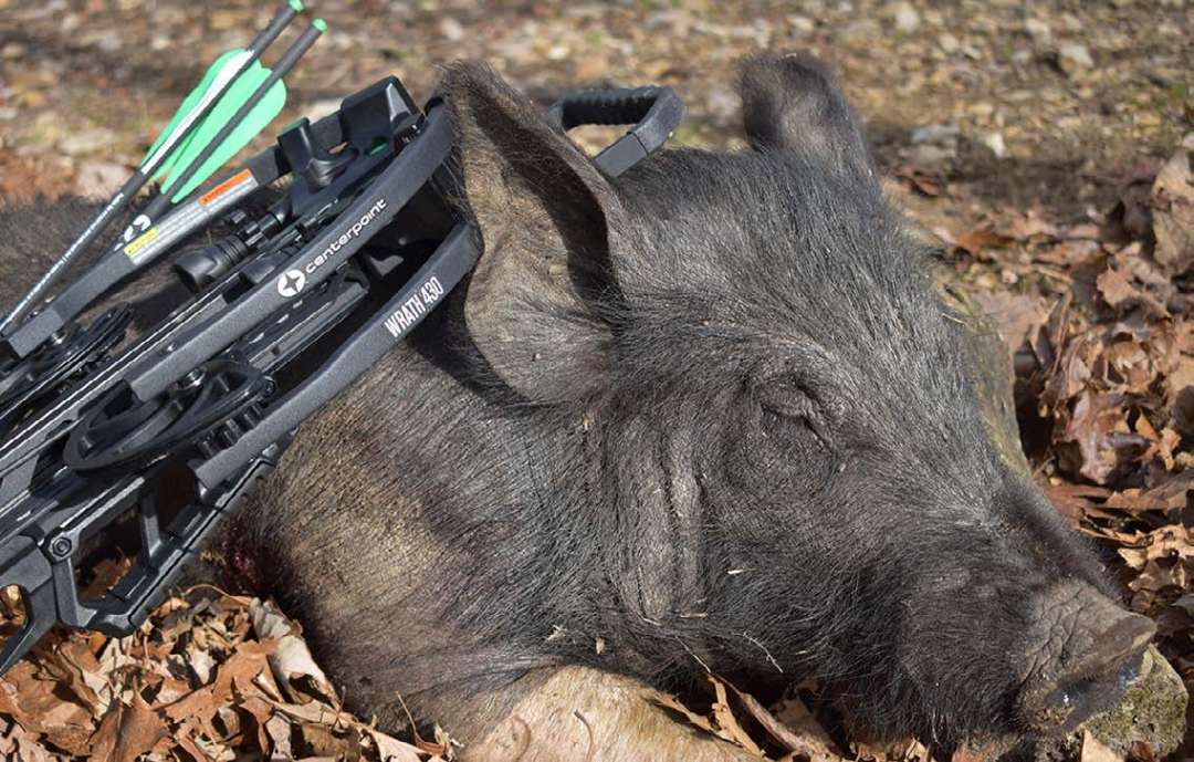 Crossbow Report: Barnett TS 380 - North American Bow Hunter