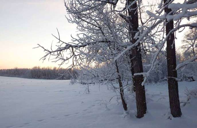 Tips for Bowhunting in Sub-Zero Weather - North American Bow Hunter