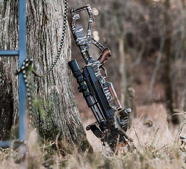 Death by Crossbow and Broadhead — Mechanical vs. Fixed Blade - North ...