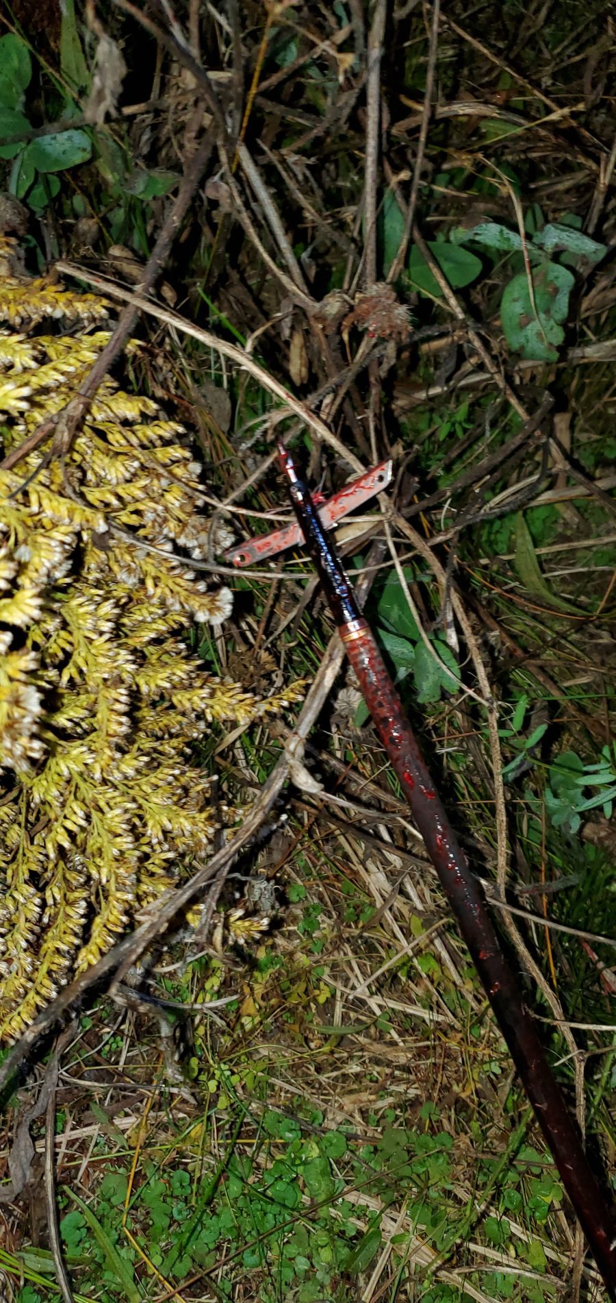 Thorn Broadheads Review – Something New - North American Bow Hunter