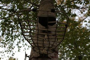 Review: The Hunting Beast Treestand and Climbing Sticks - North ...