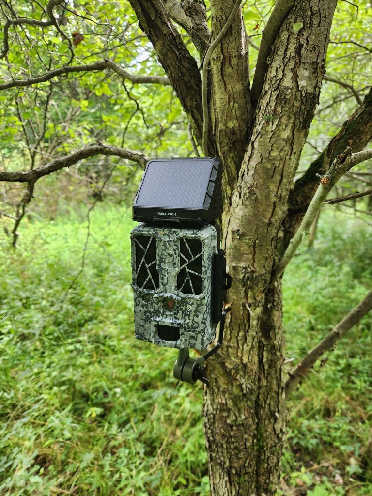 Review: Spypoint Trail Cameras - North American Bow Hunter