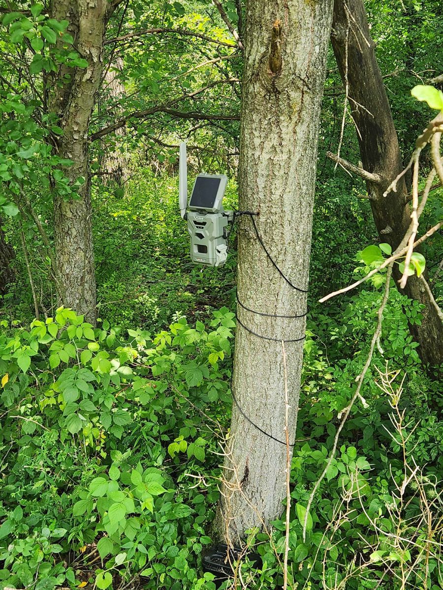 Review: Spypoint Trail Cameras - North American Bow Hunter