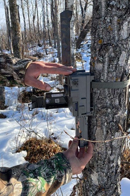 10 Sure Ways to Fill Your Deer Tag - North American Bow Hunter