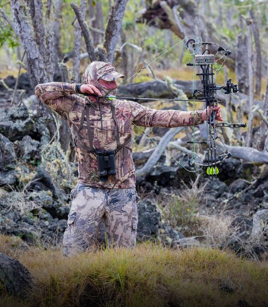 A Complete Guide to Choosing Between Compound and Crossbows - North ...