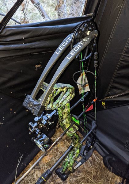 A Complete Guide to Choosing Between Compound and Crossbows - North ...