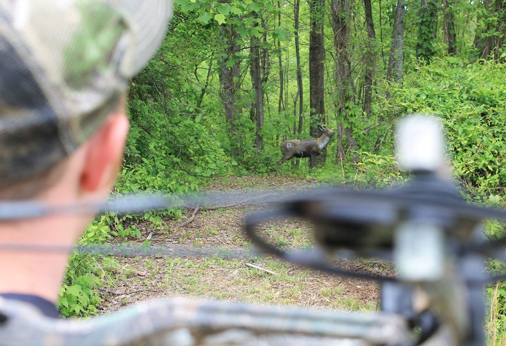 25 Bowhunting Tips Whitetail Hunters Need - North American Bow Hunter