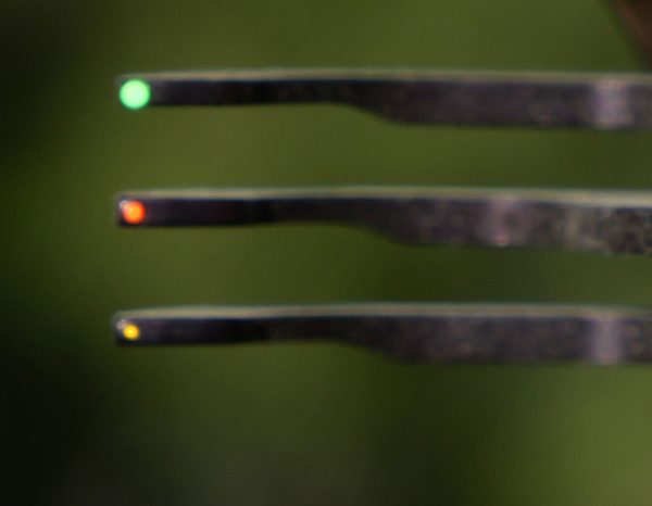 Choosing the Right Bow Sight: Fixed Pin vs. Single-Pin Slider - North ...