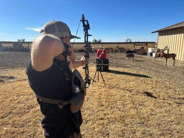 Hoyt Alpha X 33 – Tested True - North American Bow Hunter