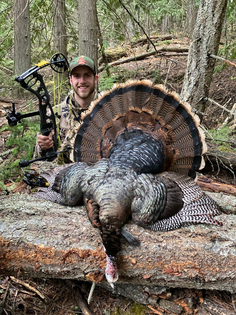 Mastering Turkey Hunting with a Bow: Tips for Success - North American ...
