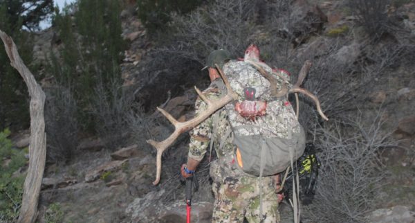 Best Broadheads for Elk - North American Bow Hunter