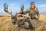 Mastering the Art of Archery: How to Shoot a Bow and Arrow with ...