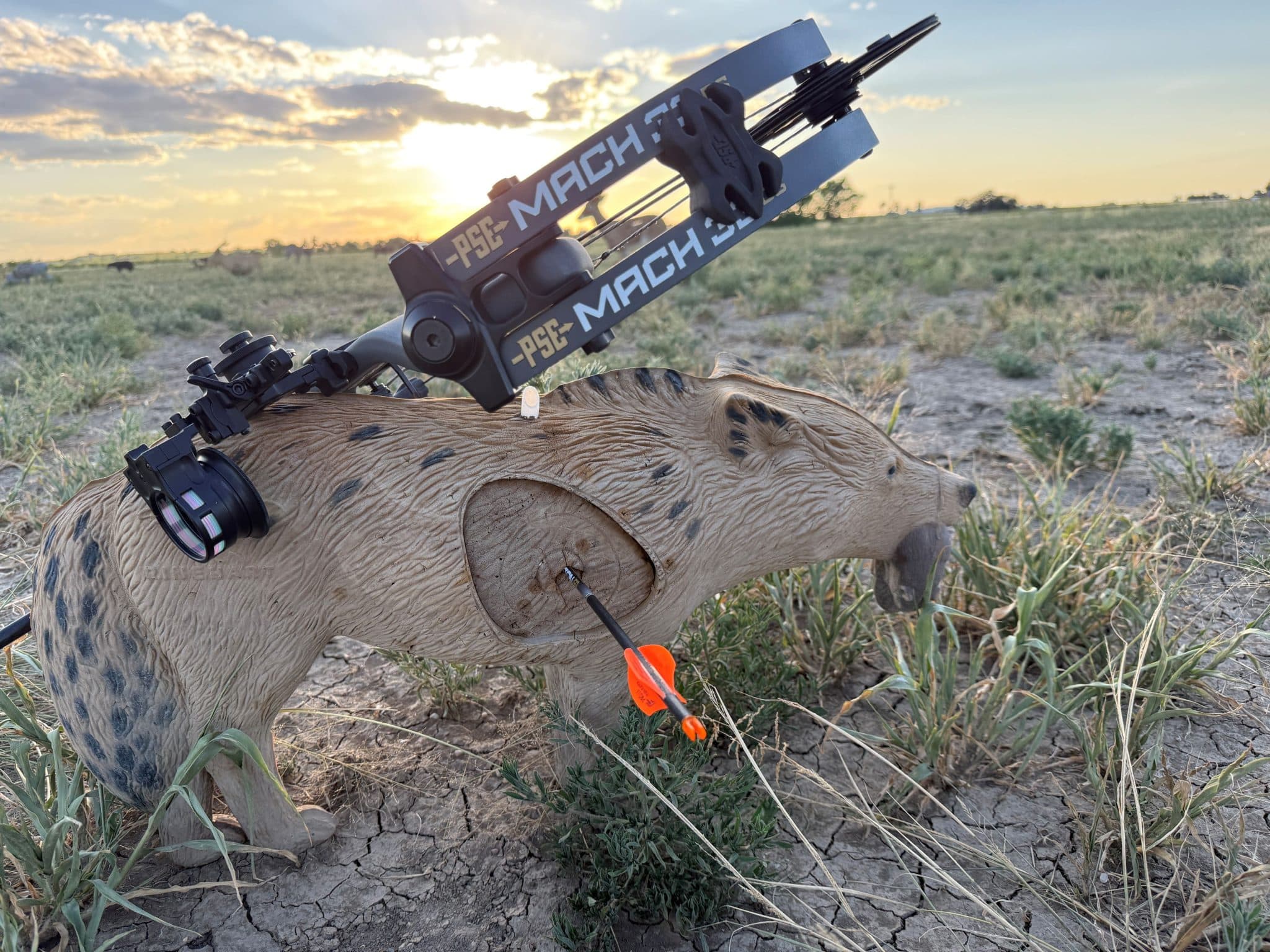 PSE Mach 33 DS: Tested and Reviewed - North American Bow Hunter